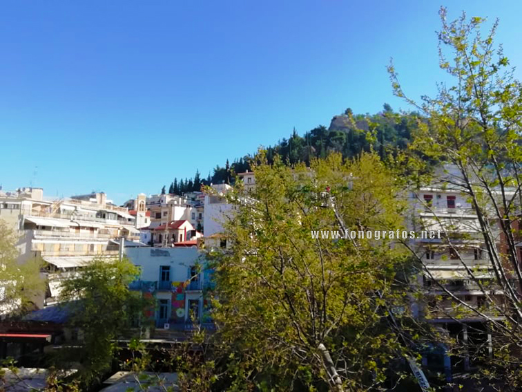 Λαμία: Περιποίηση των πλατάνων στην πλατεία Λαού - Fonografos.net