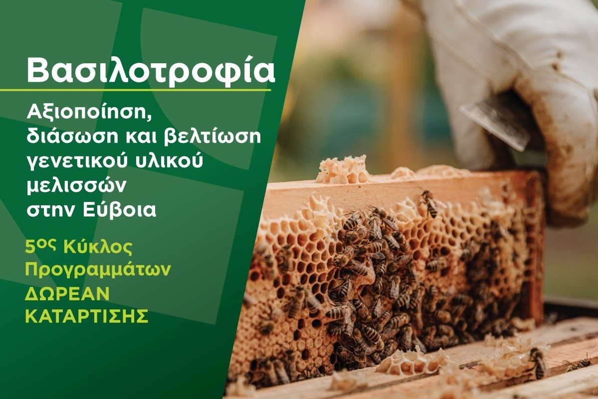 Βασιλοτροφία: Έναρξη του δωρεάν προγράμματος - Αξιοποίηση, διάσωση και ...