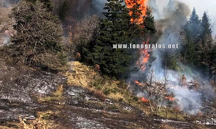 Φωτιά στη Δυτική Φθιώτιδα [ΦΩΤΟ] - Fonografos.net