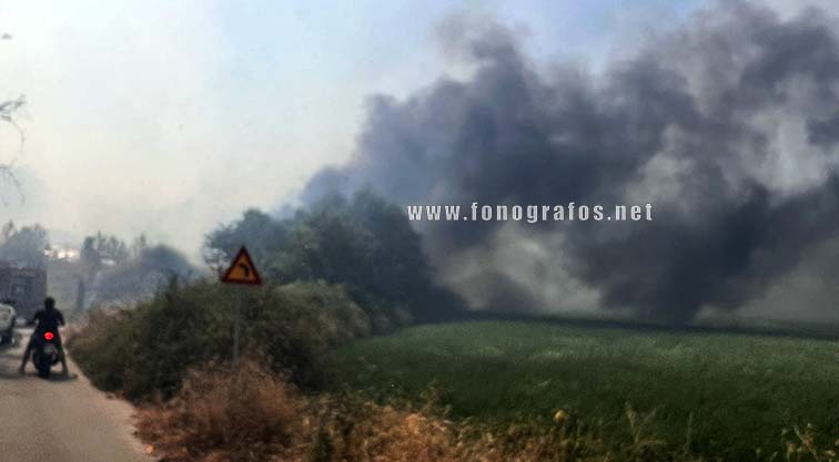 Φωτιά στη Δυτική Φθιώτιδα [εικ.] - Fonografos.net