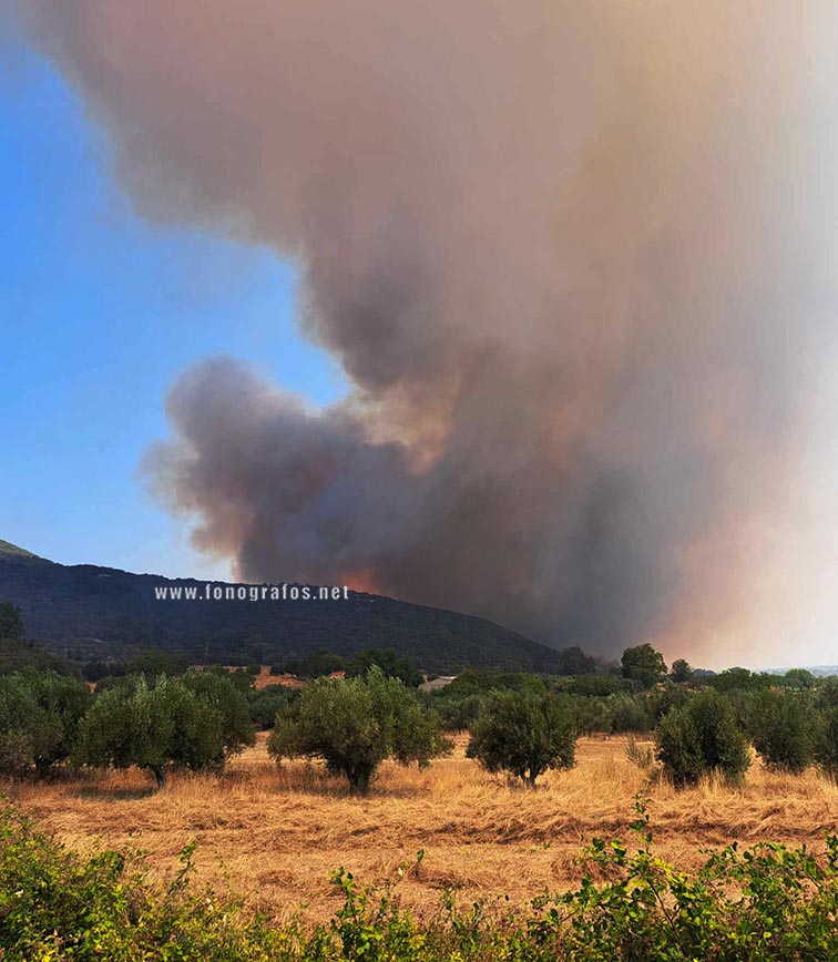 Φωτιά στη Δυτική Φθιώτιδα [ΦΩΤΟ] - Fonografos.net