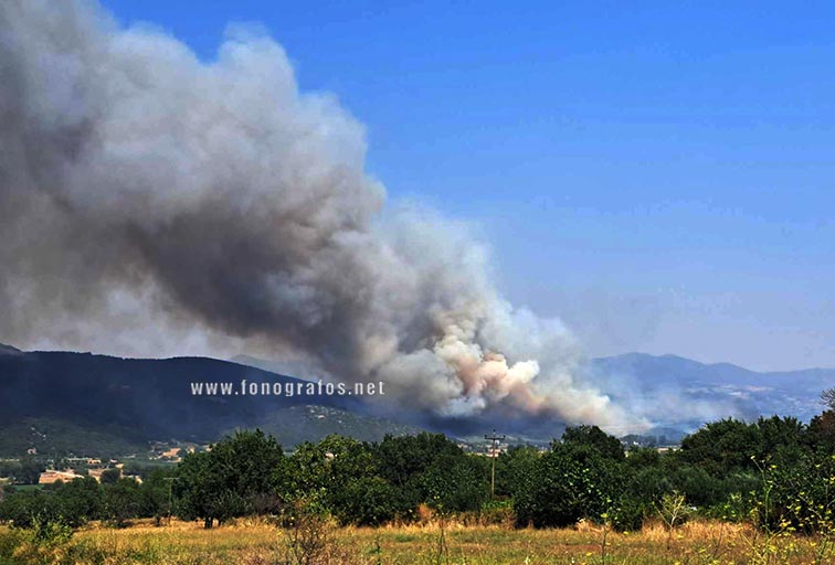 Φωτιά στη Δυτική Φθιώτιδα [ΦΩΤΟ] - Fonografos.net