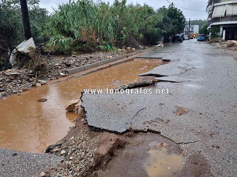 Επιμελητήριο Φθιώτιδας: Ενέργειες για να συσταθούν άμεσα επιτροπές ...