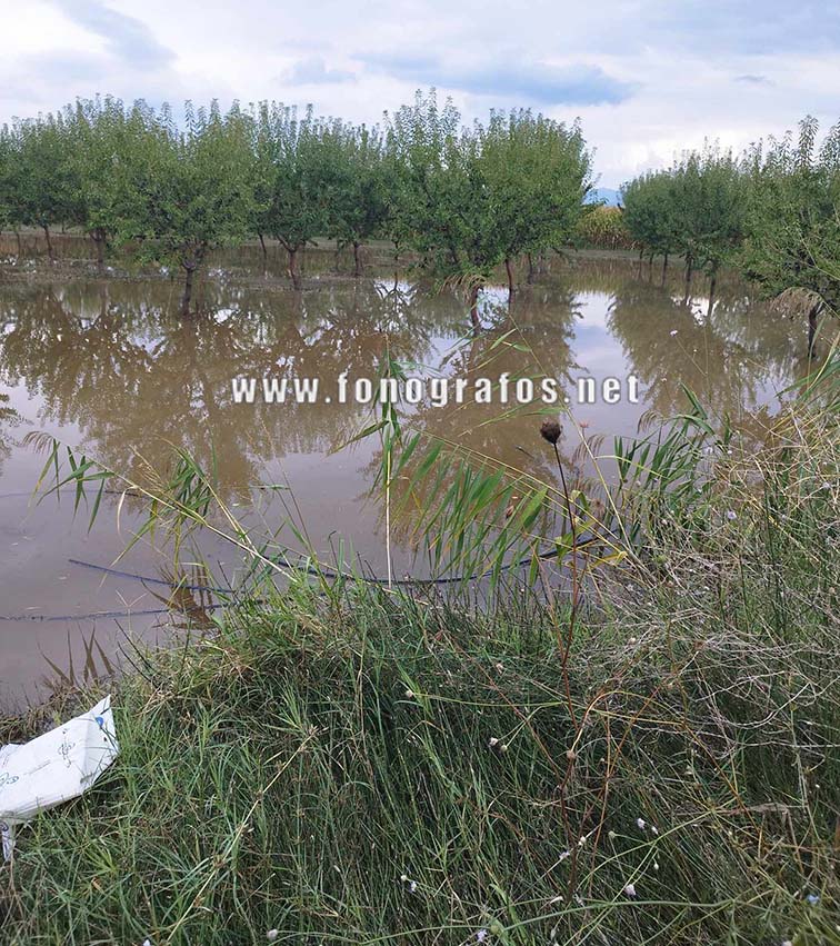 Εκτίμηση ζημιών σε πληγείσες αγροτικές και κτηνοτροφικές εκμεταλλεύσεις ...