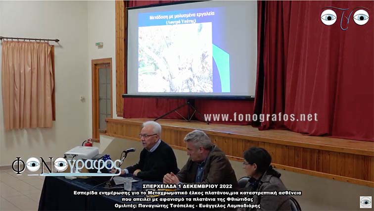 Σπερχειάδα: Η εσπερίδα για το μεταχρωματικό έλκος – SOS για τα πλατάνια ...